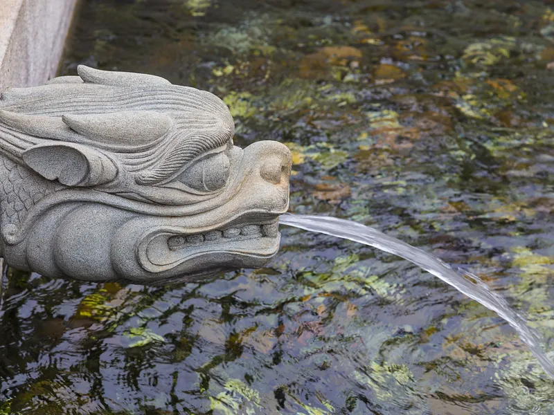The Chinese Dragon: Symbol, Art, and Spirit of China | - RPL School