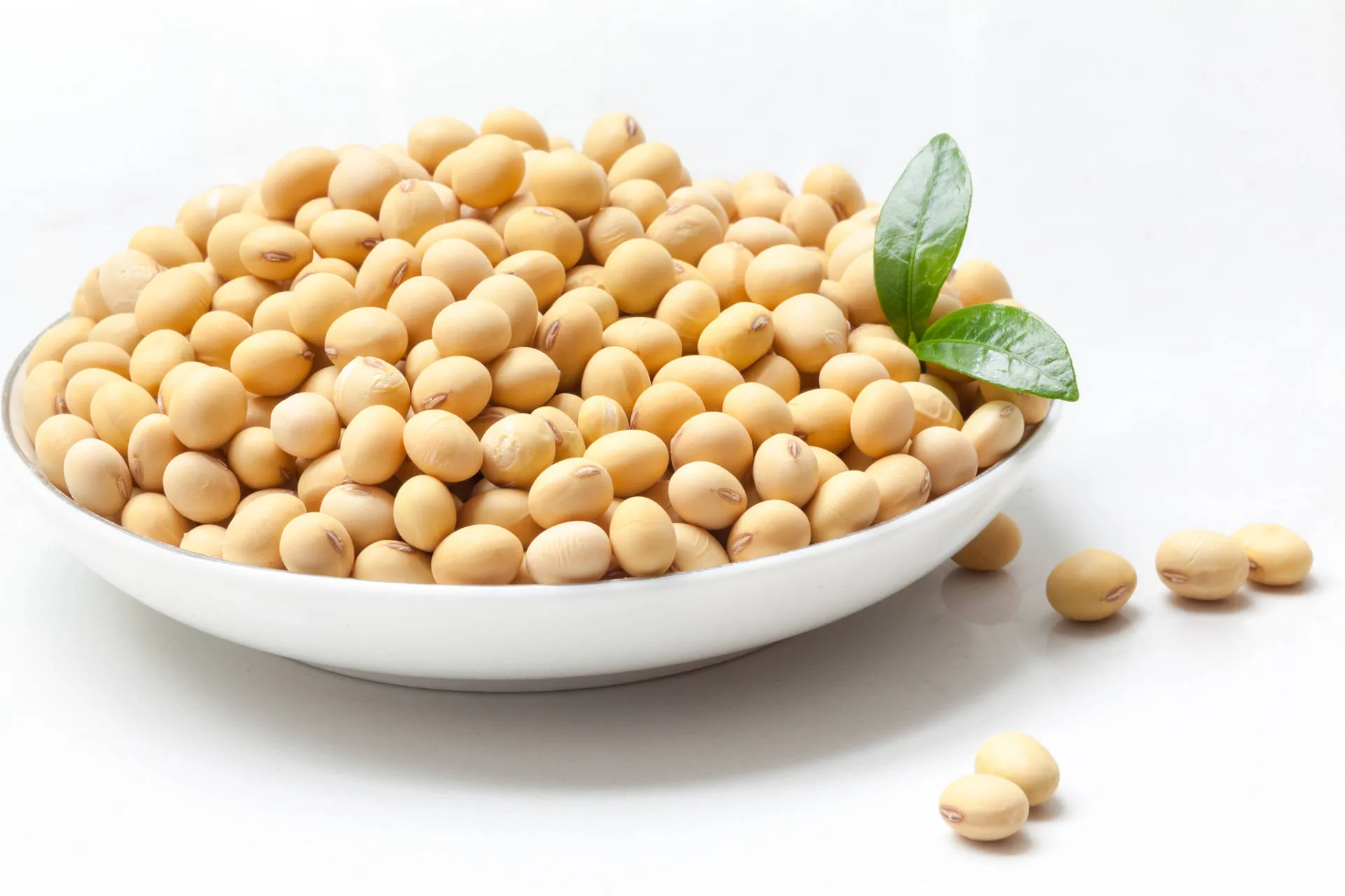 The Most Popular Beans in China | - RPL School